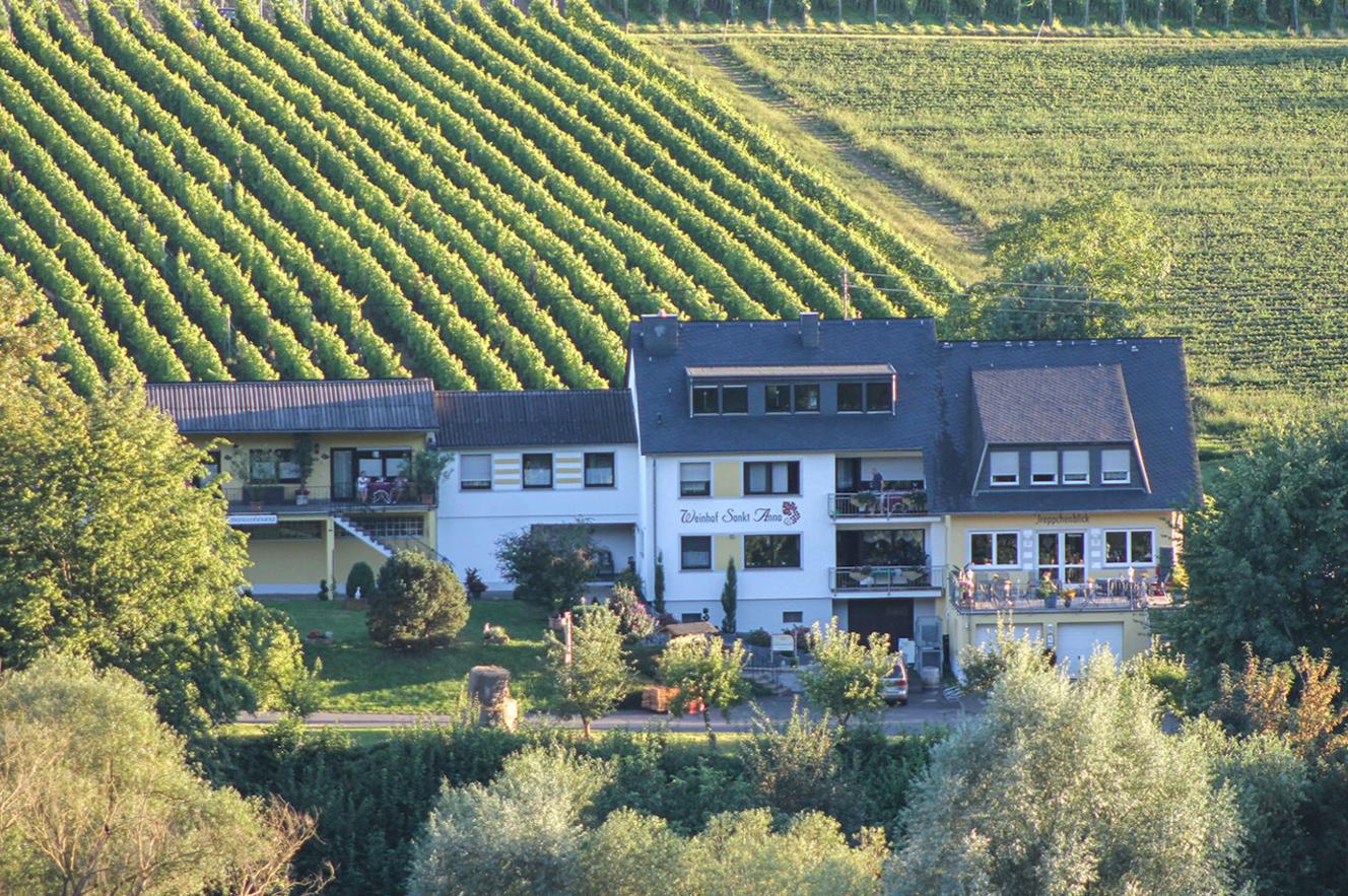 Romantisches Mosel-Weinwochenende für Zwei (2 Übernachtungen)